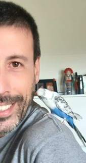 Morte della mia cocorita - Cocorite e Pappagallini Ondulati
