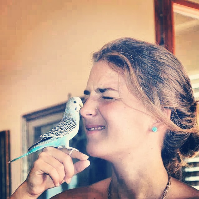 coco à¨ scappato :( - Cocoriti