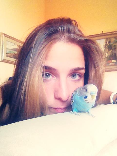 coco à¨ scappato :( - Cocoriti