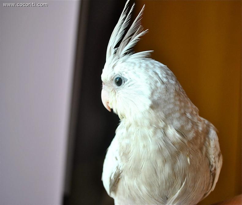 ..1..2..3...e ciuffo!!!!!!!